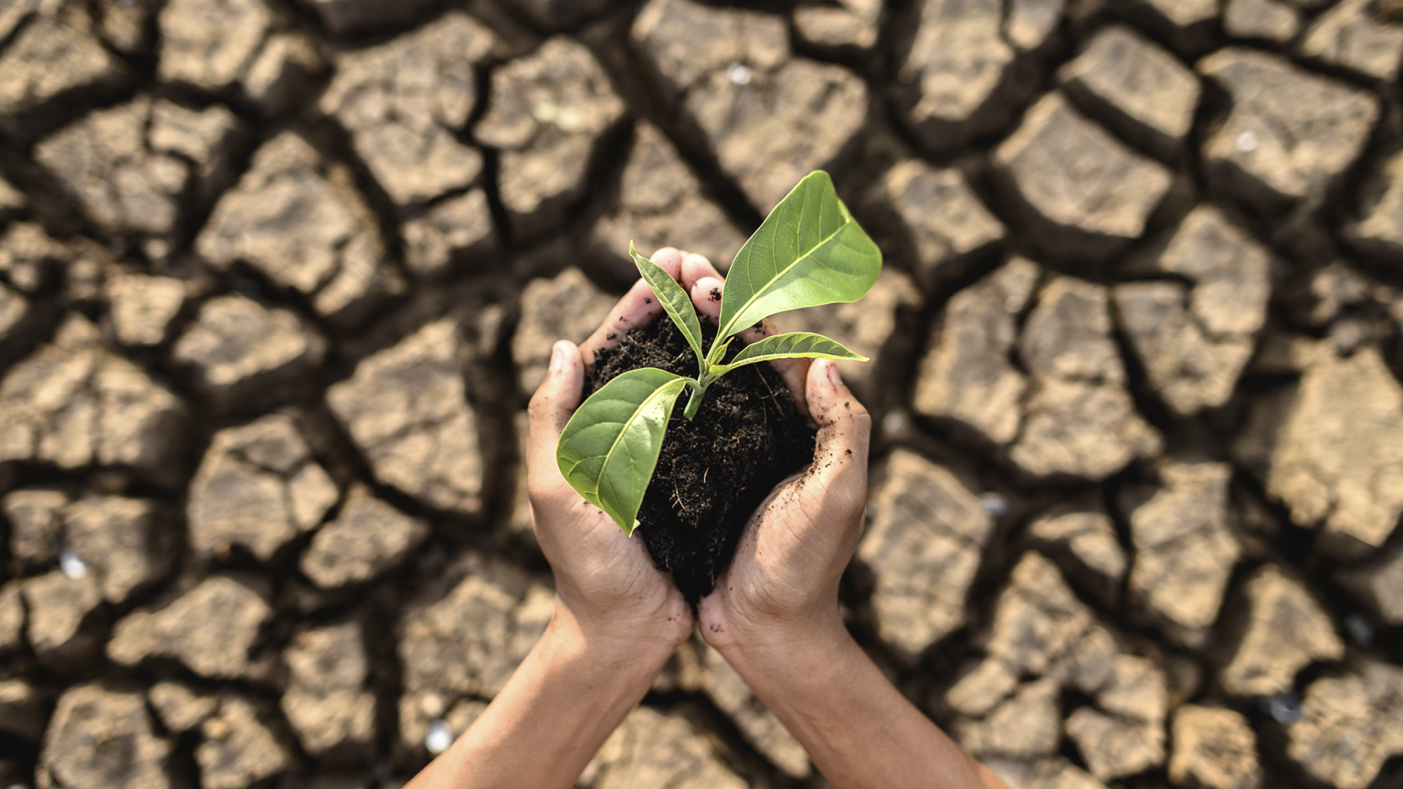 ISO and Climate Change: How Standards Can Save Our Planet - QMS ...