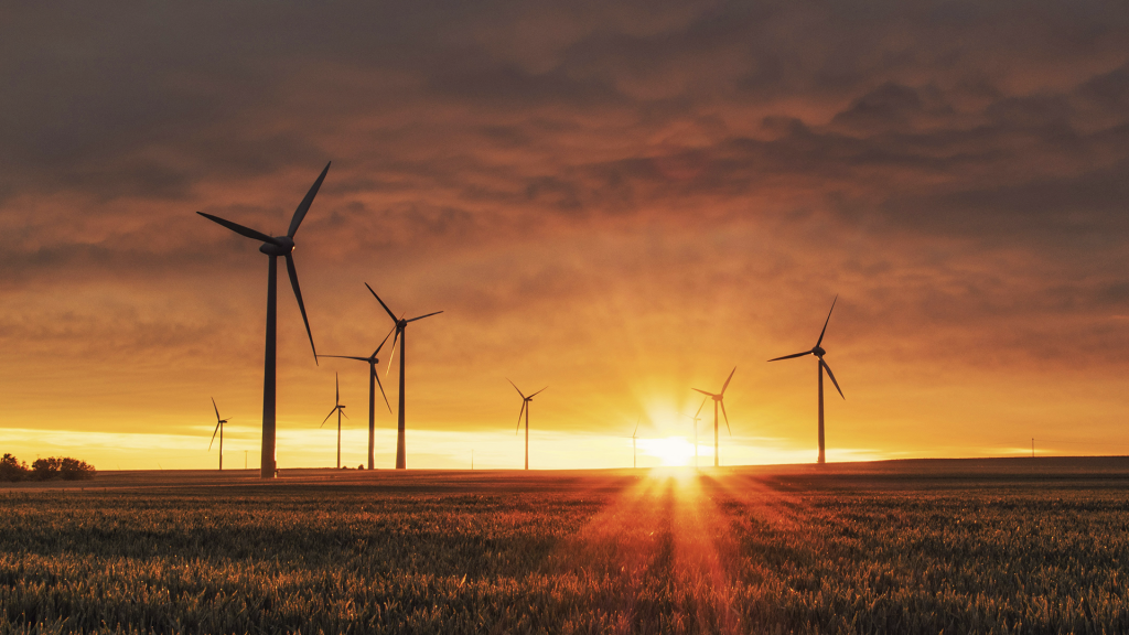 What is ISO 14001 – Environmental Management System (EMS) - QMS ...